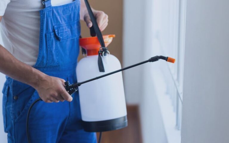 Top Pest Control Franchise Options to Own | FranchiseCoach